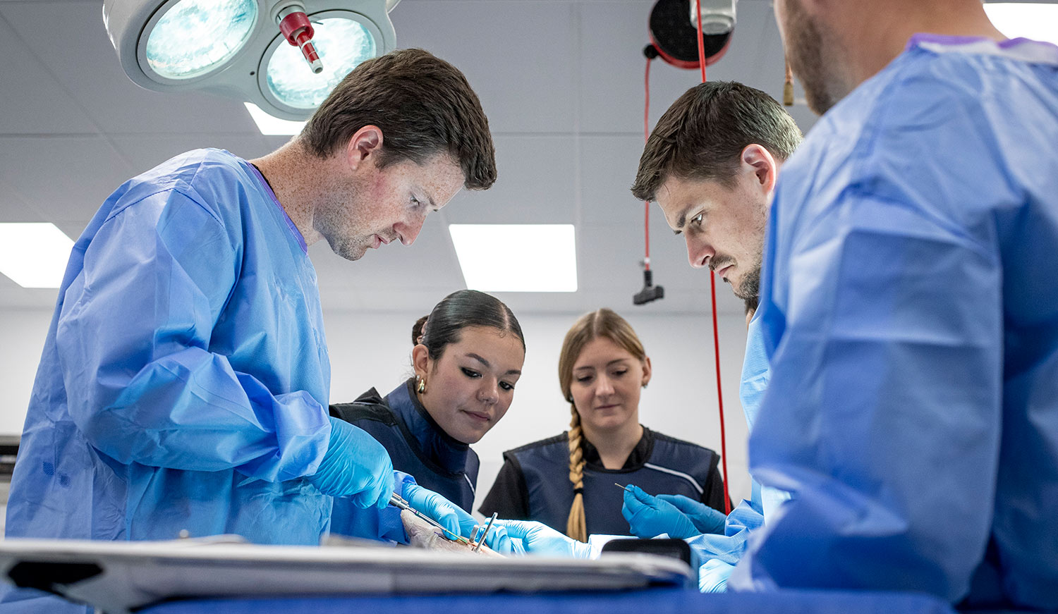 NVISION Bio Medical Technologies